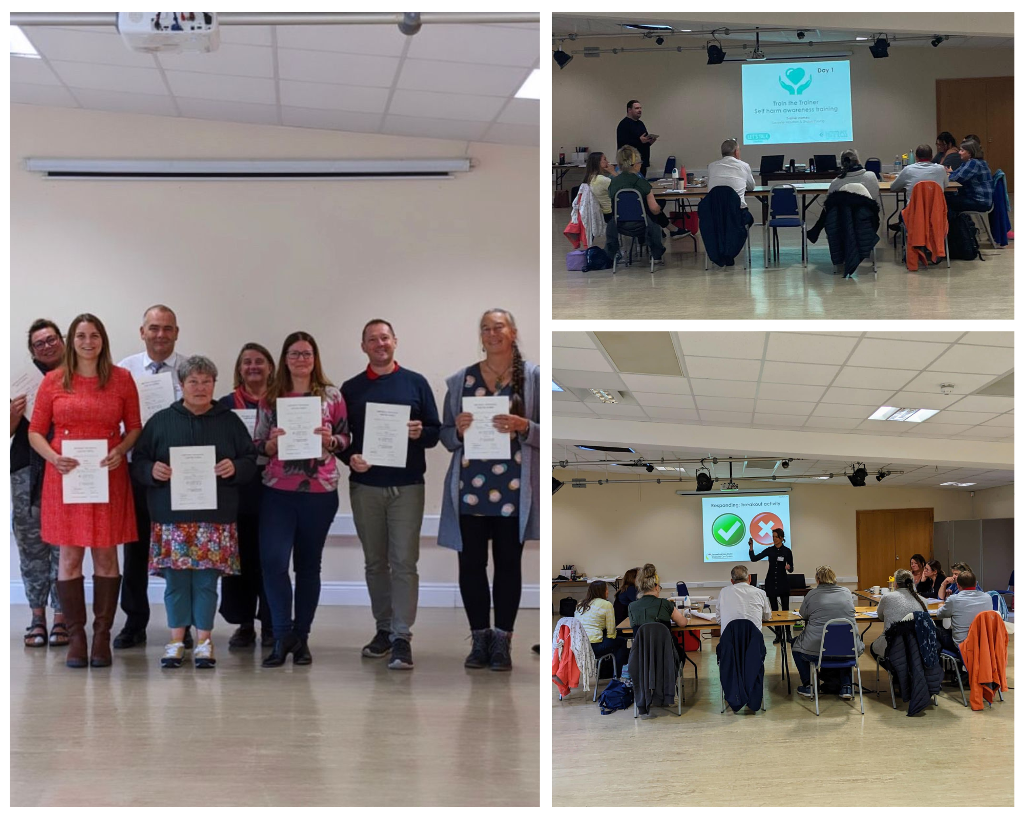 Train the Trainer Programme - Harmless